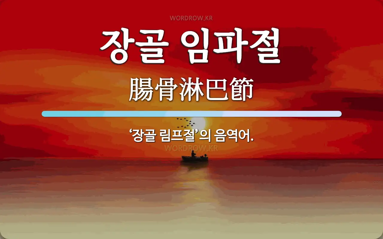 장골 임파절 뜻 ‘장골 림프절의 음역어