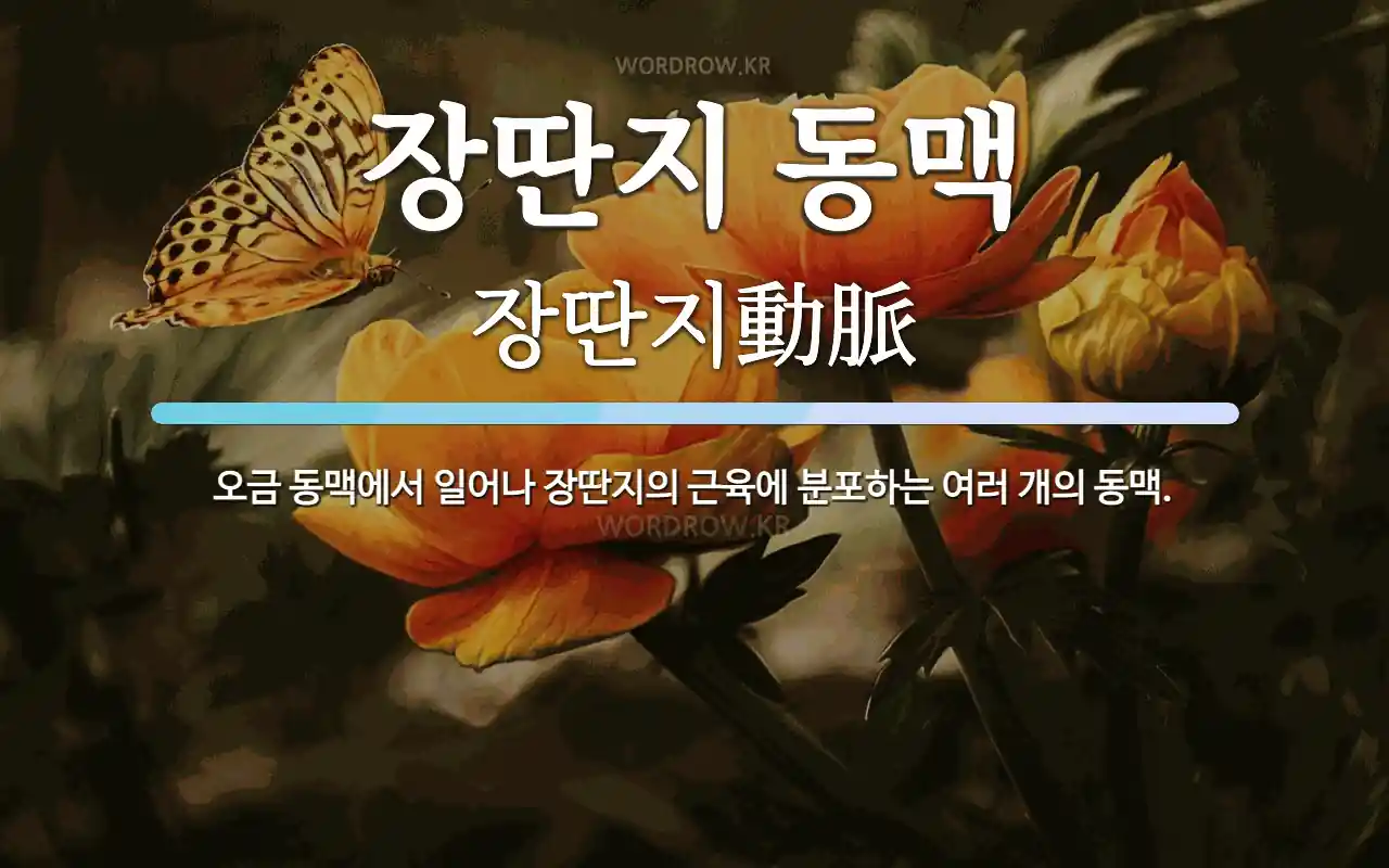 장딴지 동맥 뜻 오금 동맥에서 일어나 장딴지의 근육에 분포하는 여러 개의 동맥