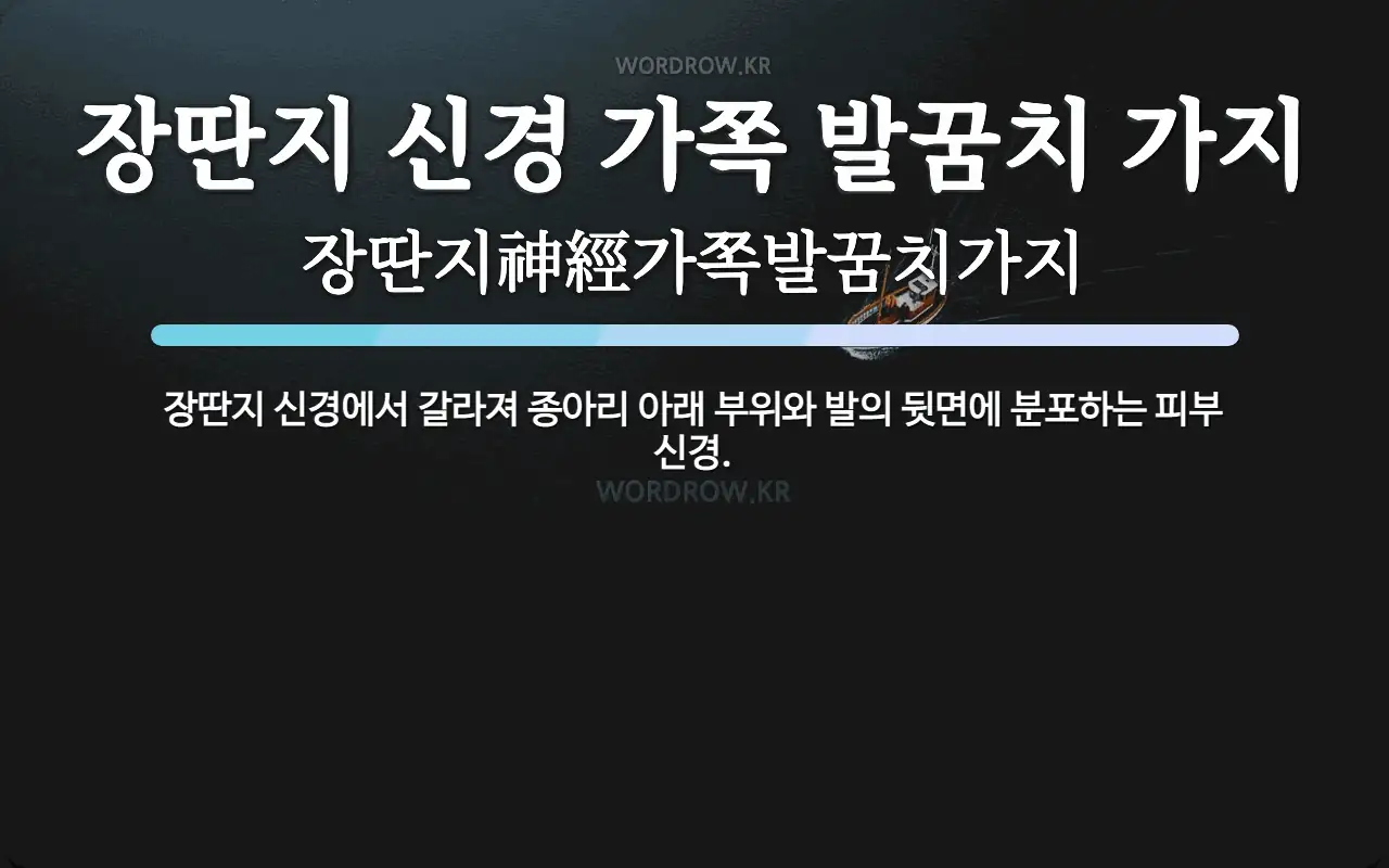 장딴지 신경 가쪽 발꿈치 가지 뜻 장딴지 신경에서 갈라져 종아리 아래 부위와 발의 뒷면에 분포하는 피부 신경