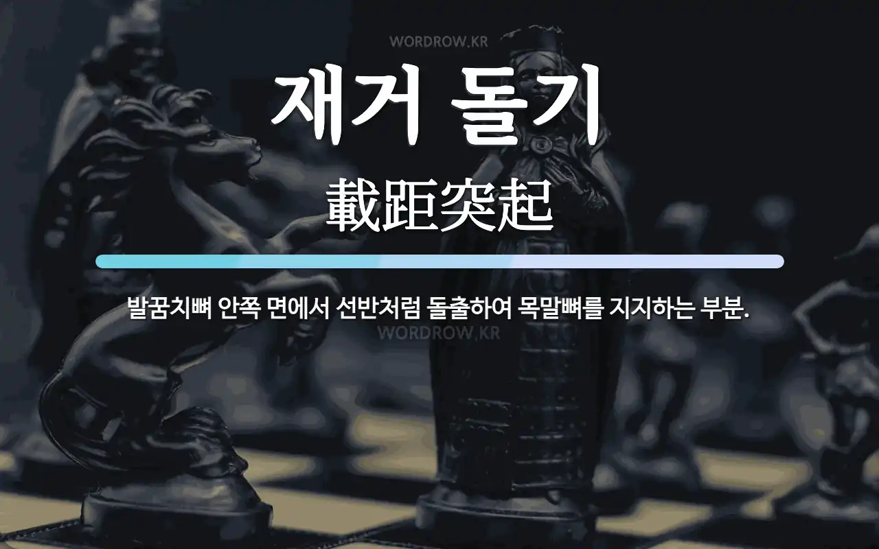 재거 돌기 뜻 발꿈치뼈 안쪽 면에서 선반처럼 돌출하여 목말뼈를 지지하는 부분