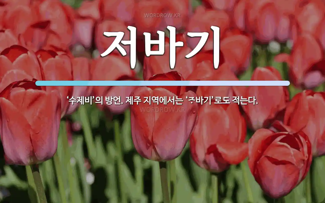저바기 뜻 ‘수제비의 방언 제주 지역에서는 ‘uf1fc바기로도 적는다