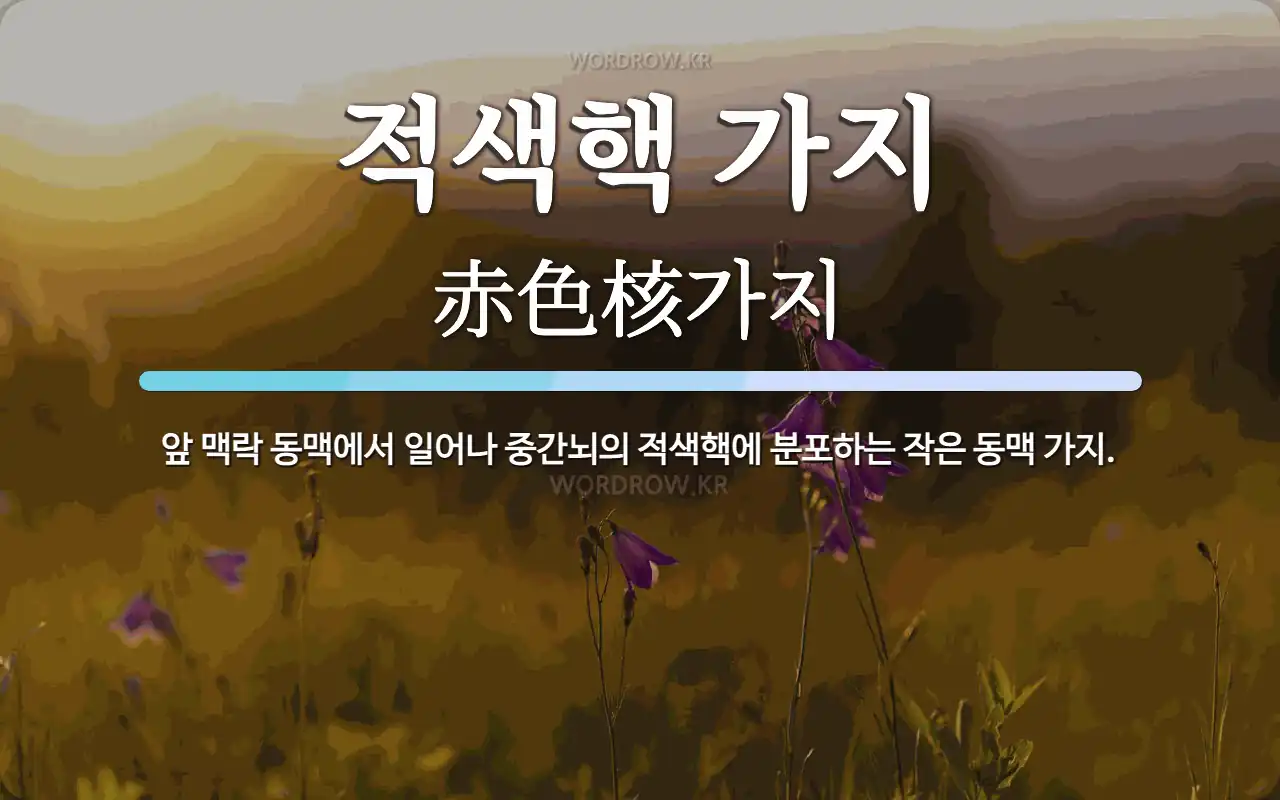 적색핵 가지 뜻 앞 맥락 동맥에서 일어나 중간뇌의 적색핵에 분포하는 작은 동맥 가지