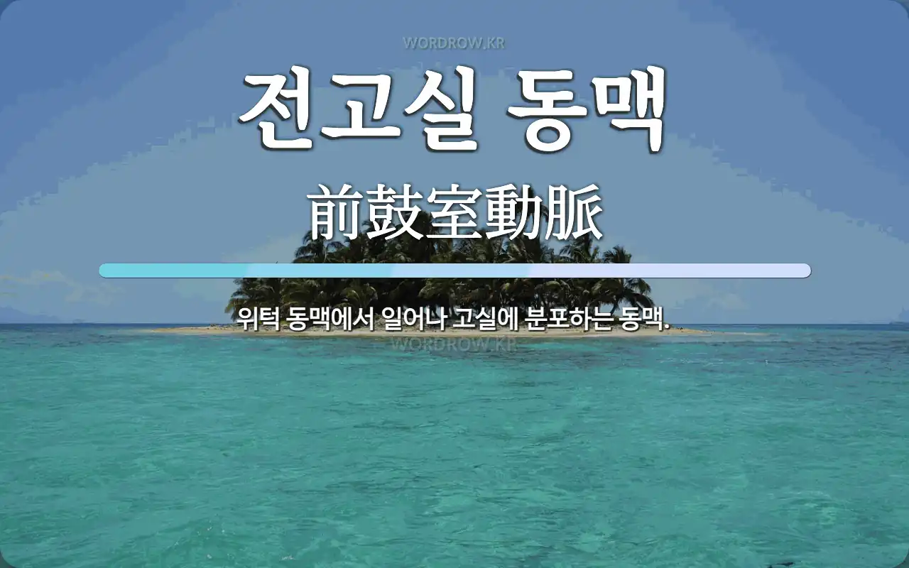 전고실 동맥 뜻 위턱 동맥에서 일어나 고실에 분포하는 동맥