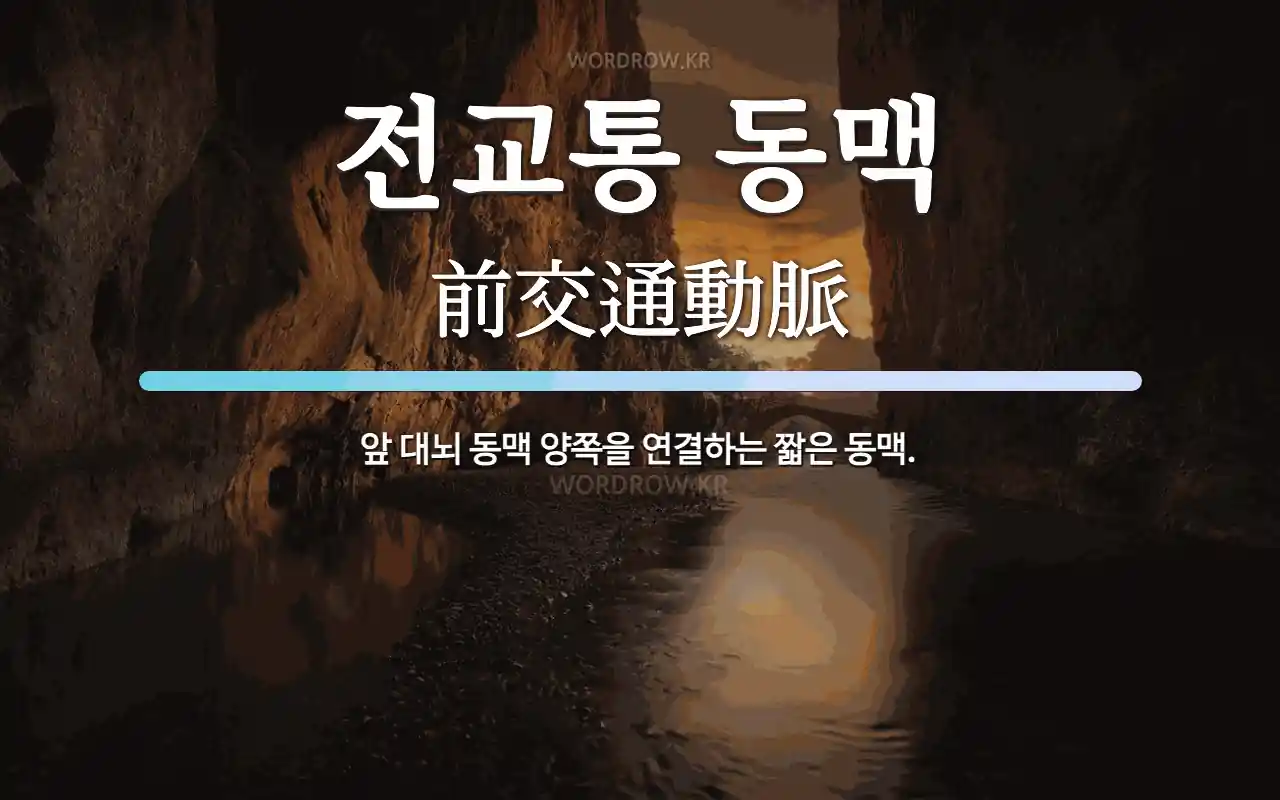 전교통 동맥 뜻 앞 대뇌 동맥 양쪽을 연결하는 짧은 동맥