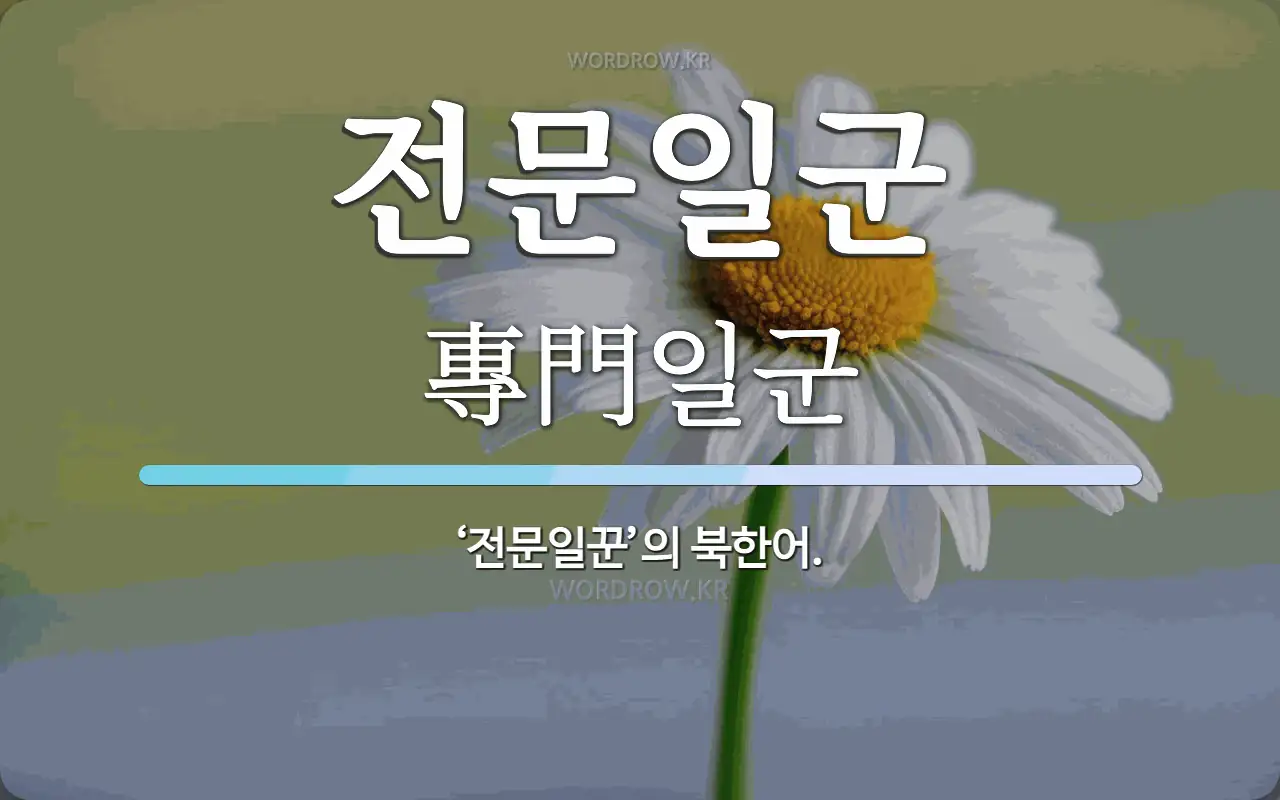 전문일군 뜻 ‘전문일꾼의 북한어