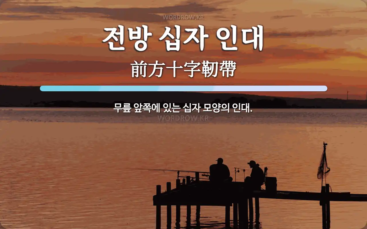 전방 십자 인대 뜻 무릎 앞쪽에 있는 십자 모양의 인대