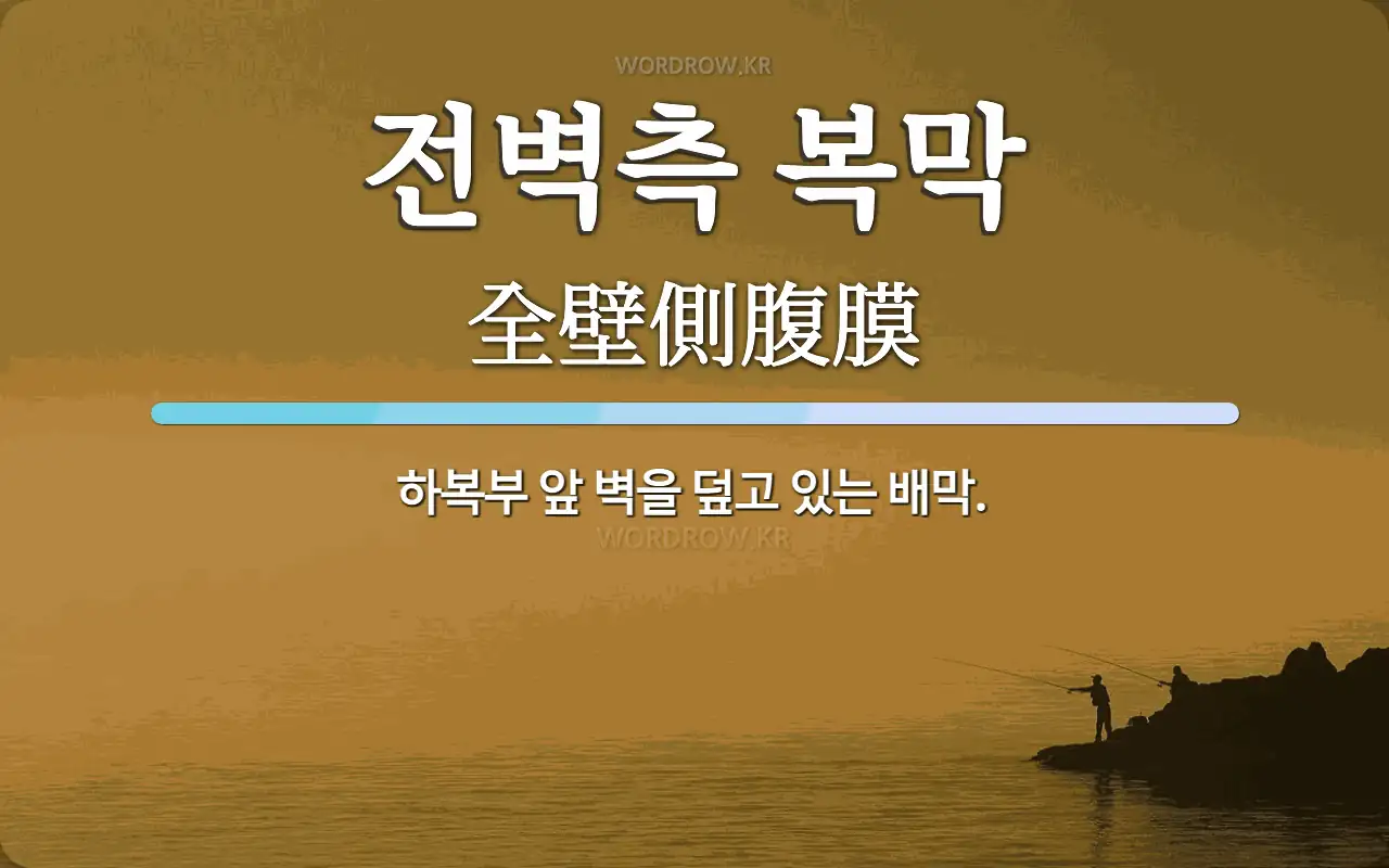 전벽측 복막 뜻 하복부 앞 벽을 덮고 있는 배막