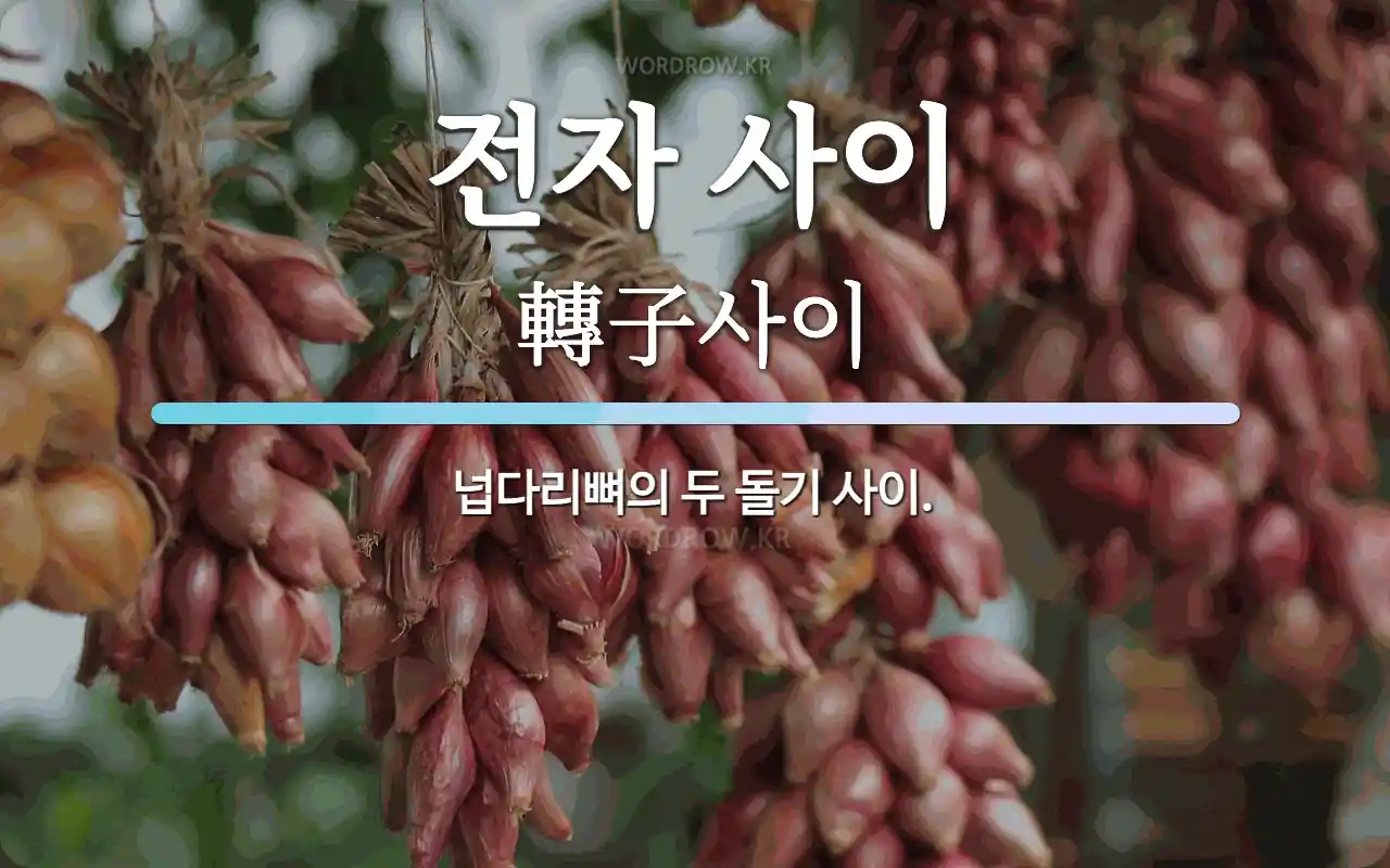전자 사이 뜻 넙다리뼈의 두 돌기 사이