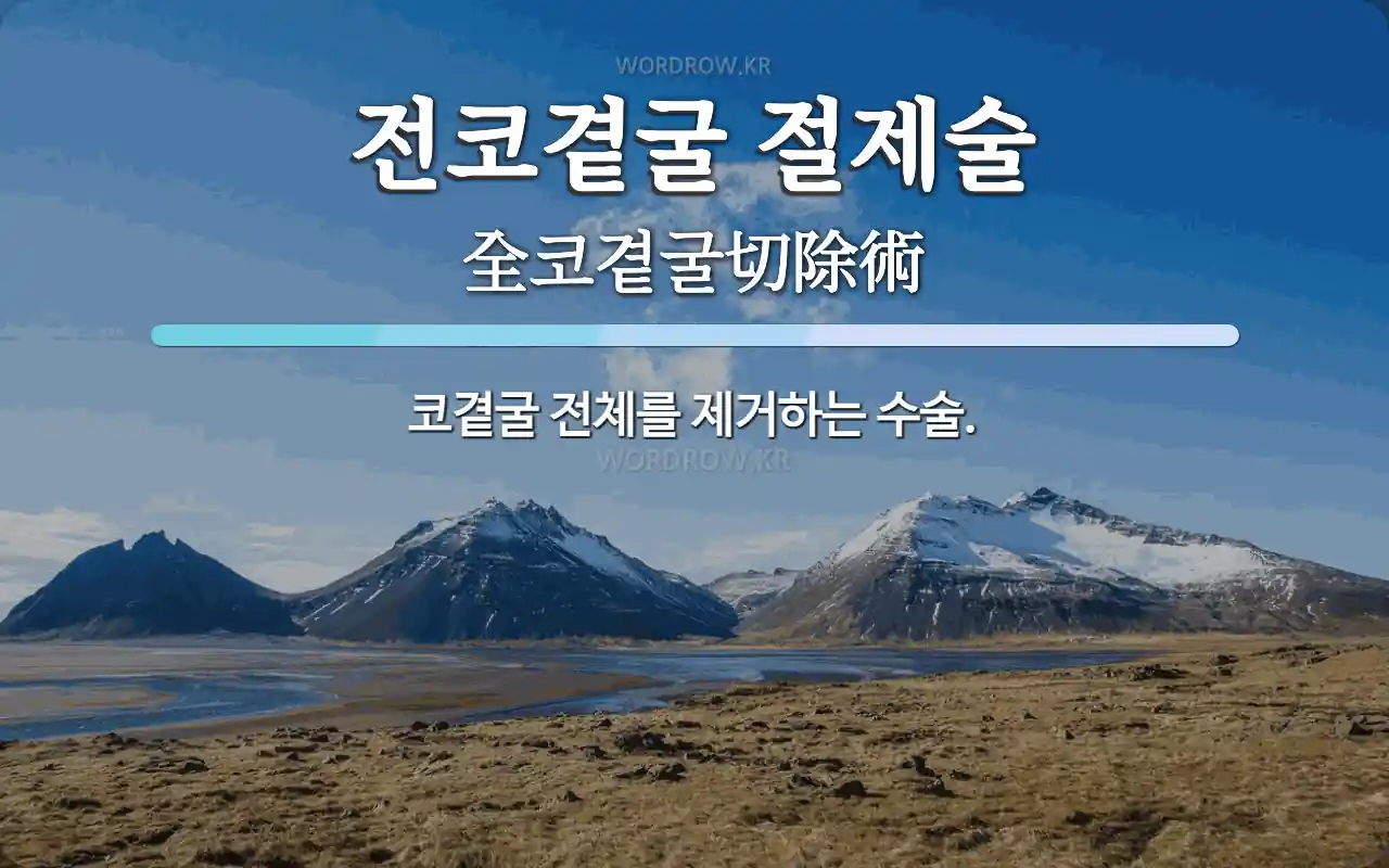전코곁굴 절제술 뜻 코곁굴 전체를 제거하는 수술