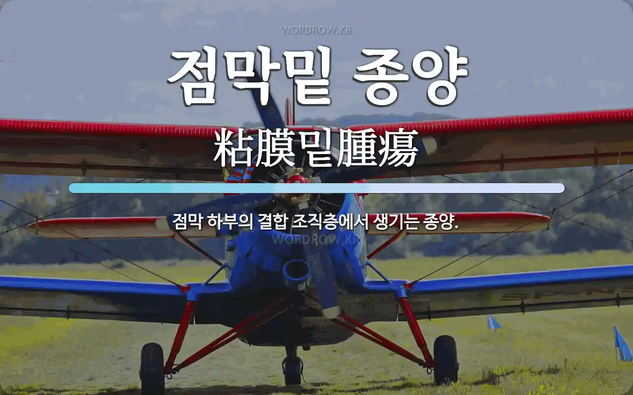 점막밑 종양 뜻 점막 하부의 결합 조직층에서 생기는 종양