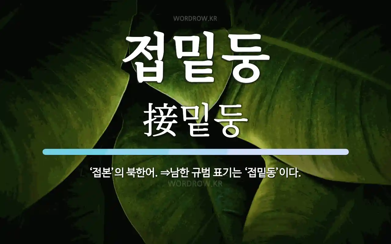 접밑둥 뜻 ‘접본의 북한어 ⇒남한 규범 표기는 ‘접밑동이다