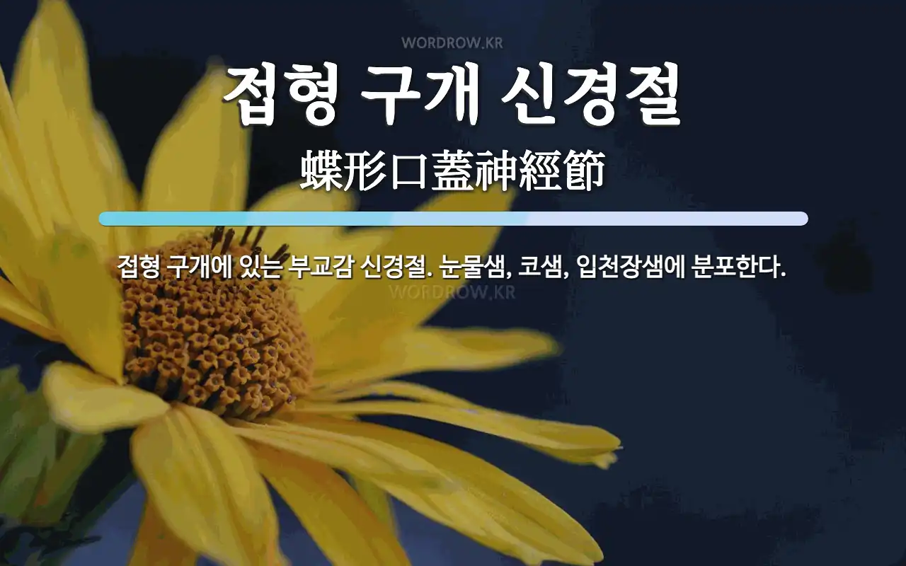 접형 구개 신경절 뜻 접형 구개에 있는 부교감 신경절 눈물샘 코샘 입천장샘에 분포한다