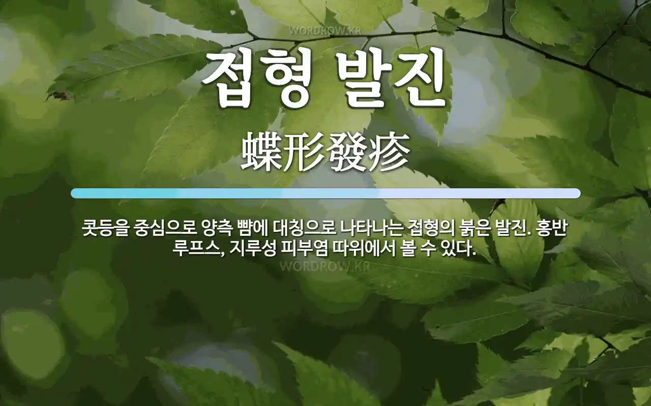 접형 발진 뜻 콧등을 중심으로 양측 뺨에 대칭으로 나타나는 접형의 붉은 발진 홍반 루프스 지루성 피부