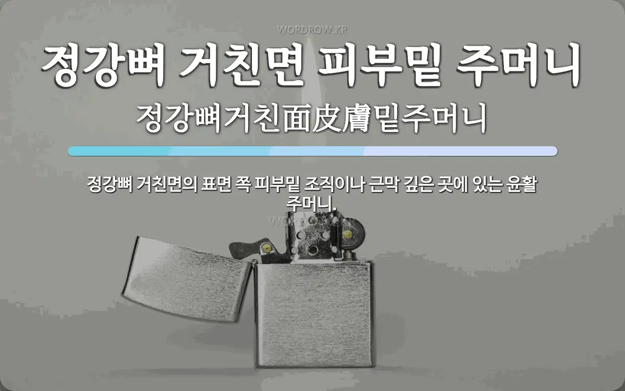 정강뼈 거친면 피부밑 주머니 뜻 정강뼈 거친면의 표면 쪽 피부밑 조직이나 근막 깊은 곳에 있는 윤활 주머니