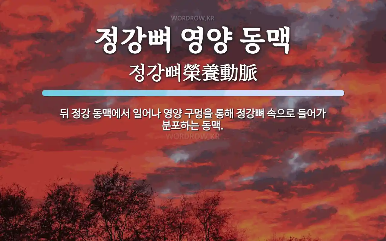 정강뼈 영양 동맥 뜻 뒤 정강 동맥에서 일어나 영양 구멍을 통해 정강뼈 속으로 들어가 분포하는 동맥