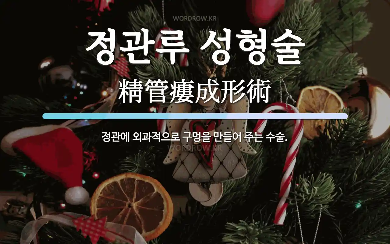 정관루 성형술 뜻 정관에 외과적으로 구멍을 만들어 주는 수술
