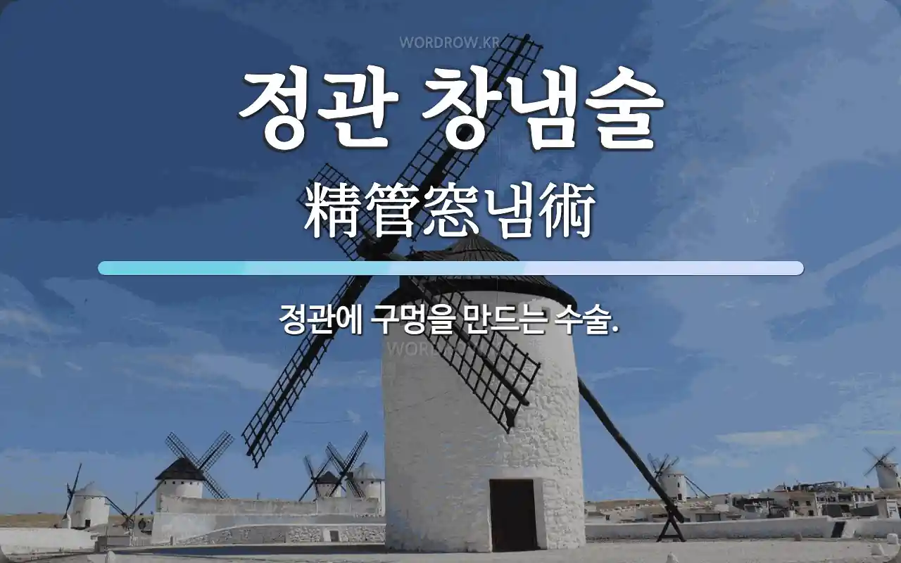 정관 창냄술 뜻 정관에 구멍을 만드는 수술
