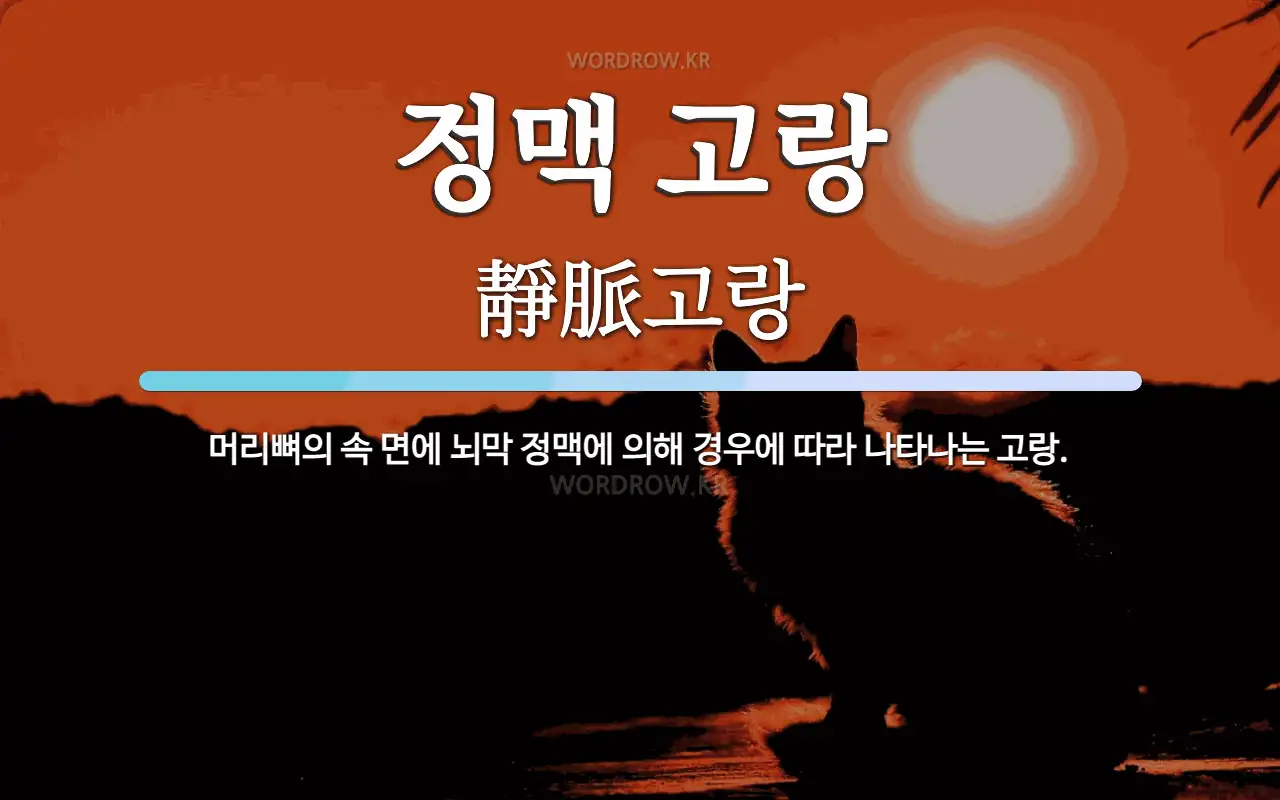 정맥 고랑 뜻 머리뼈의 속 면에 뇌막 정맥에 의해 경우에 따라 나타나는 고랑