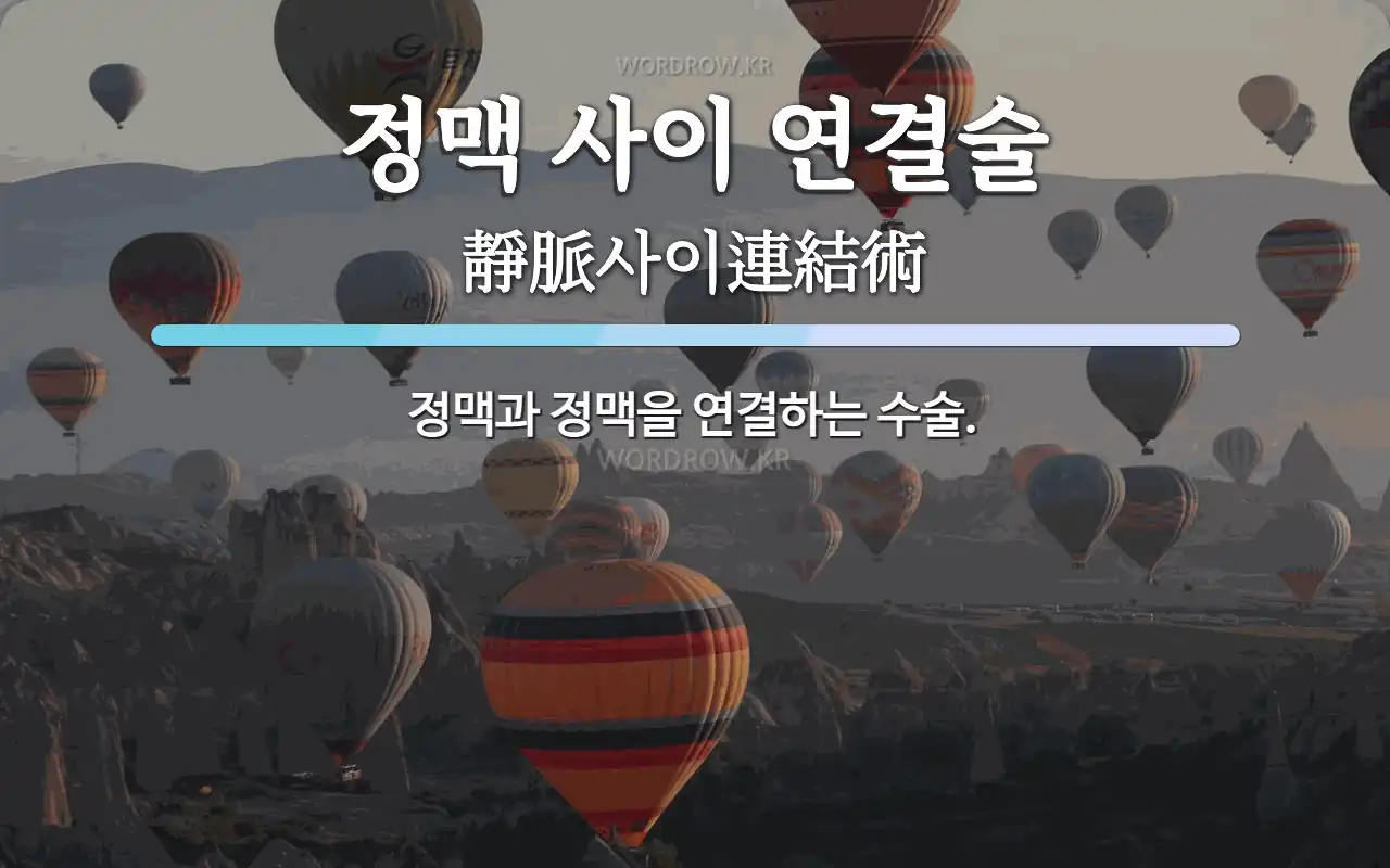 정맥 사이 연결술 뜻 정맥과 정맥을 연결하는 수술