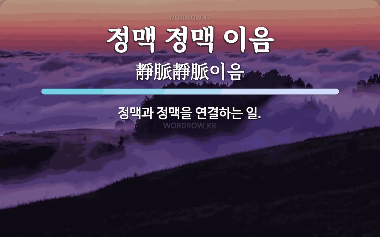 정맥 정맥 이음 뜻 정맥과 정맥을 연결하는 일