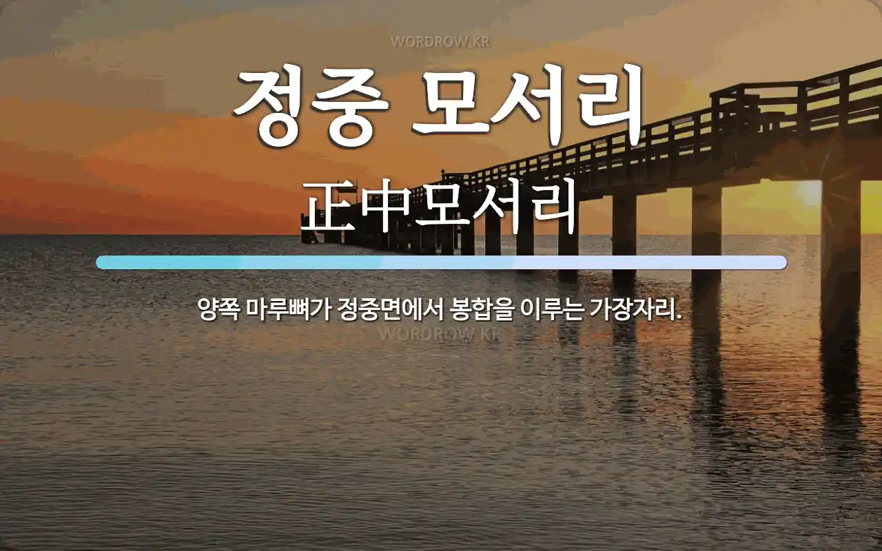 정중 모서리 뜻 양쪽 마루뼈가 정중면에서 봉합을 이루는 가장자리