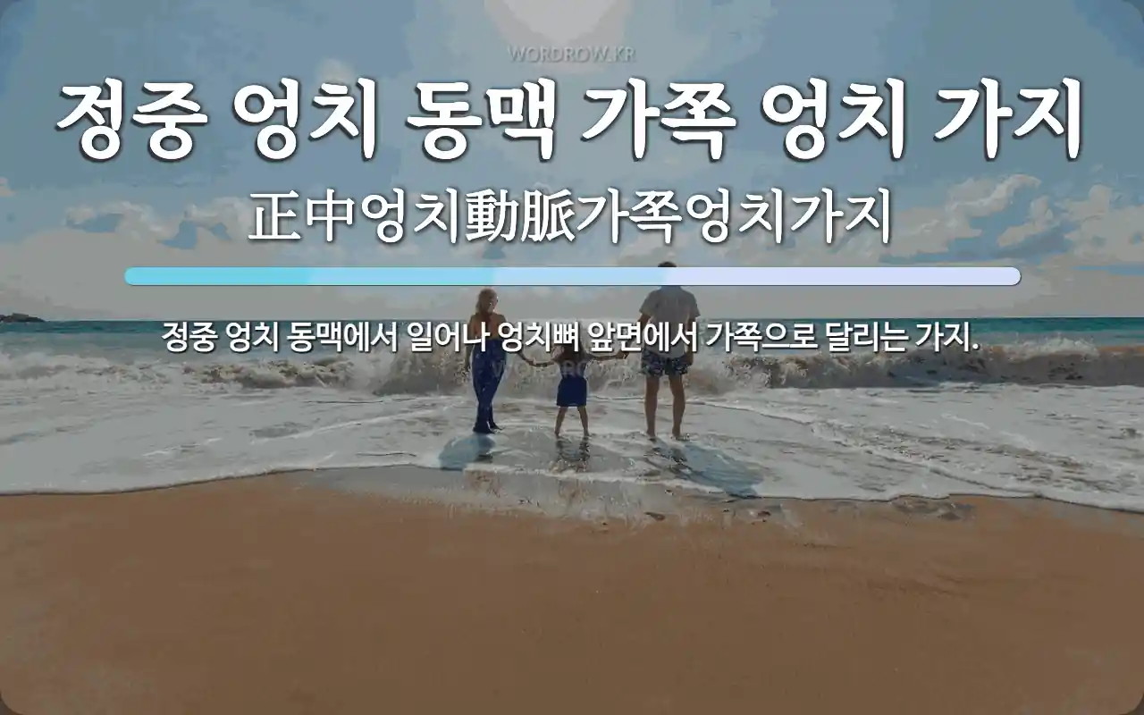 정중 엉치 동맥 가쪽 엉치 가지 뜻 정중 엉치 동맥에서 일어나 엉치뼈 앞면에서 가쪽으로 달리는 가지