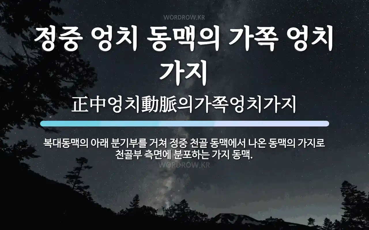 정중 엉치 동맥의 가쪽 엉치 가지 뜻 복대동맥의 아래 분기부를 거쳐 정중 천골 동맥에서 나온 동맥의 가지로 천골부 측면에 분포하