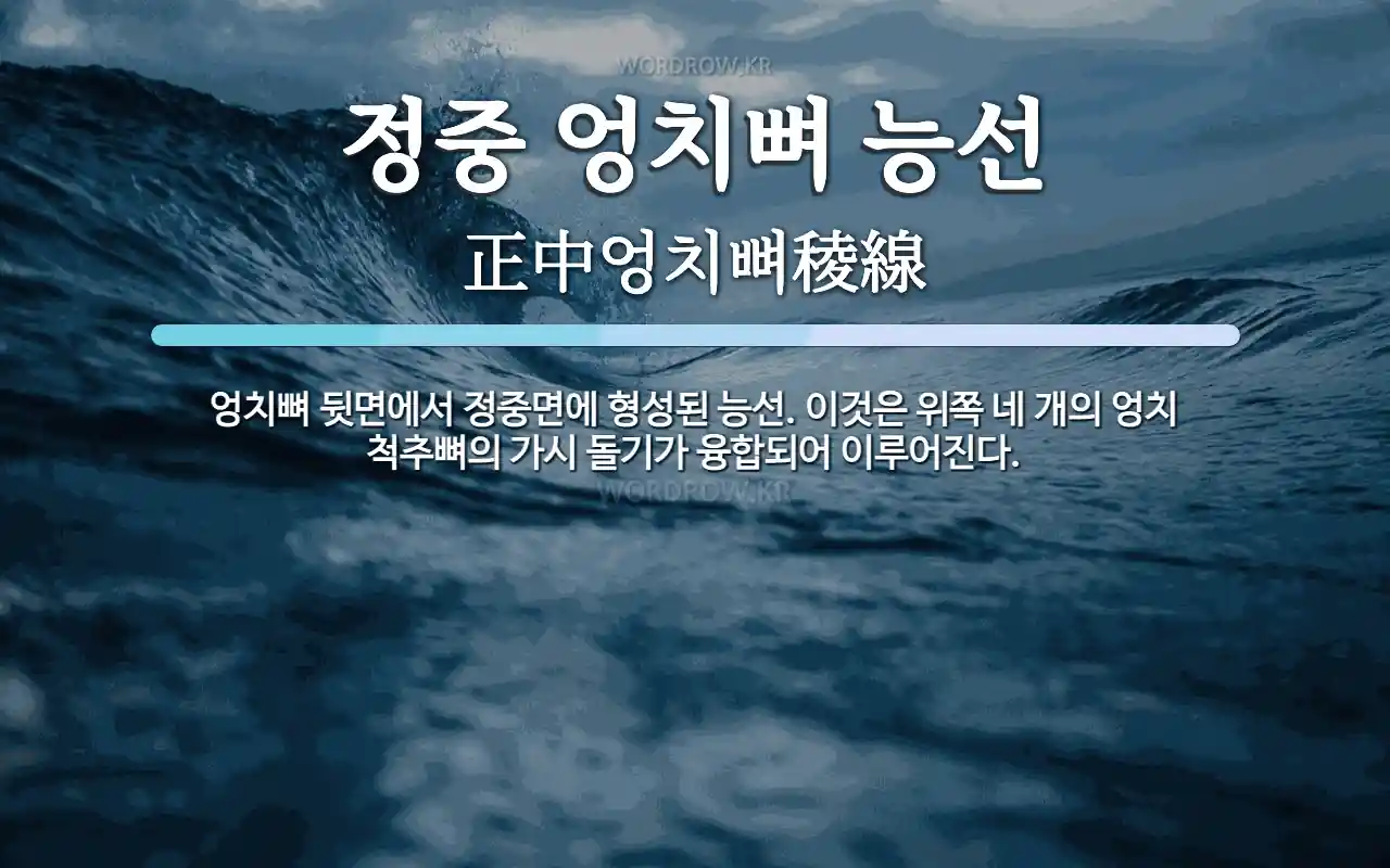 정중 엉치뼈 능선 뜻 엉치뼈 뒷면에서 정중면에 형성된 능선 이것은 위쪽 네 개의 엉치 척추뼈의 가시 돌기가 융