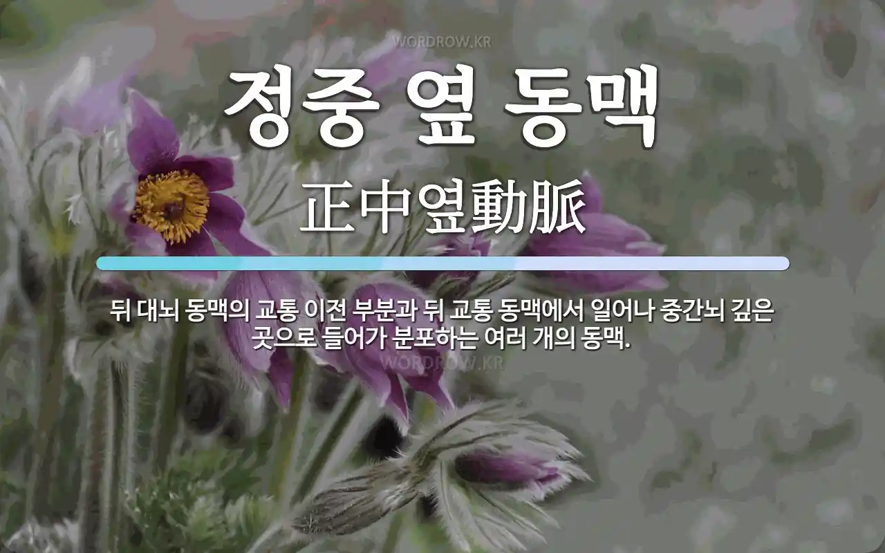 정중 옆 동맥 뜻 뒤 대뇌 동맥의 교통 이전 부분과 뒤 교통 동맥에서 일어나 중간뇌 깊은 곳으로 들어가 분포