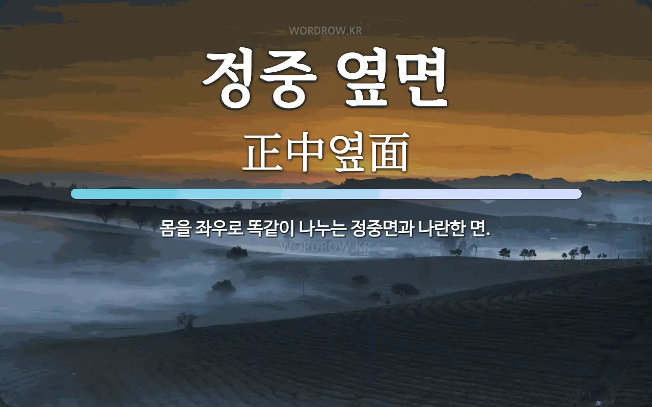 정중 옆면 뜻 몸을 좌우로 똑같이 나누는 정중면과 나란한 면