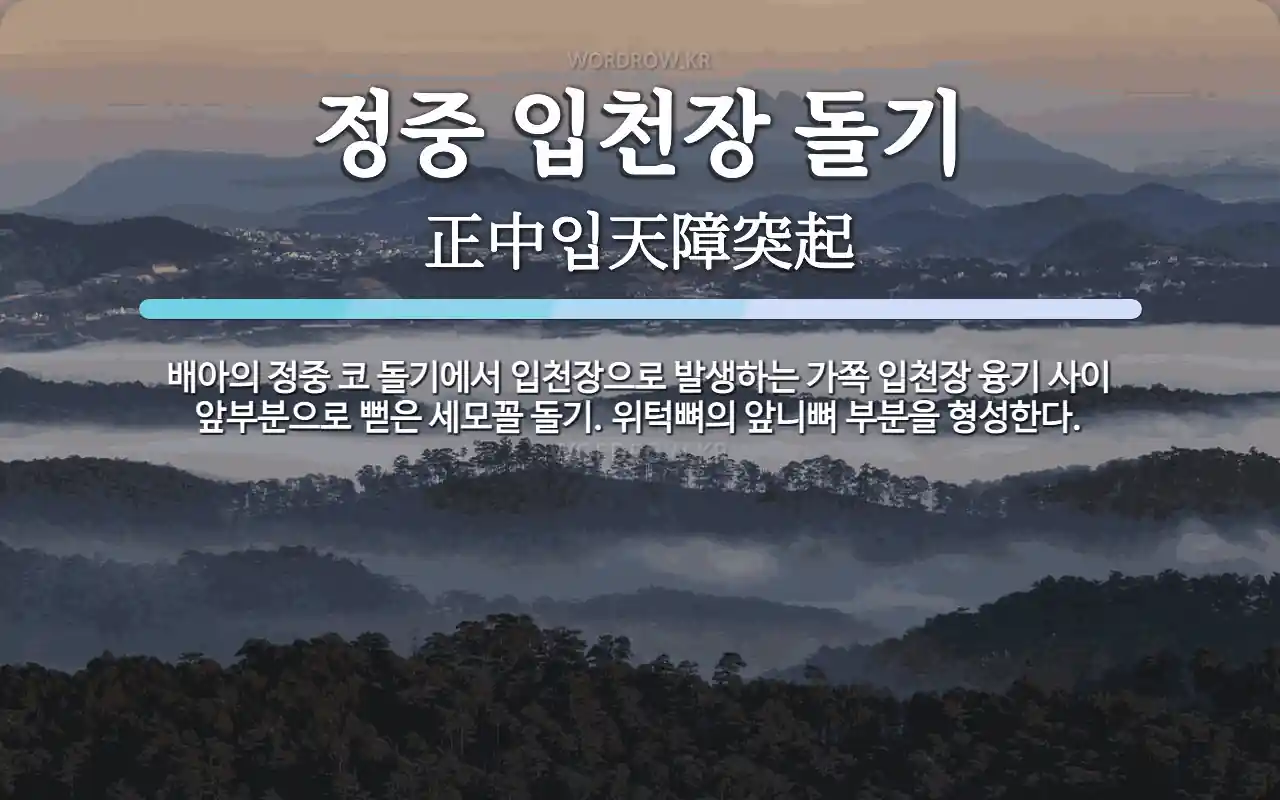 정중 입천장 돌기 뜻 배아의 정중 코 돌기에서 입천장으로 발생하는 가쪽 입천장 융기 사이 앞부분으로 뻗은 세모꼴