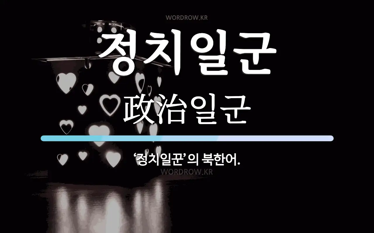 정치일군 뜻 ‘정치일꾼의 북한어