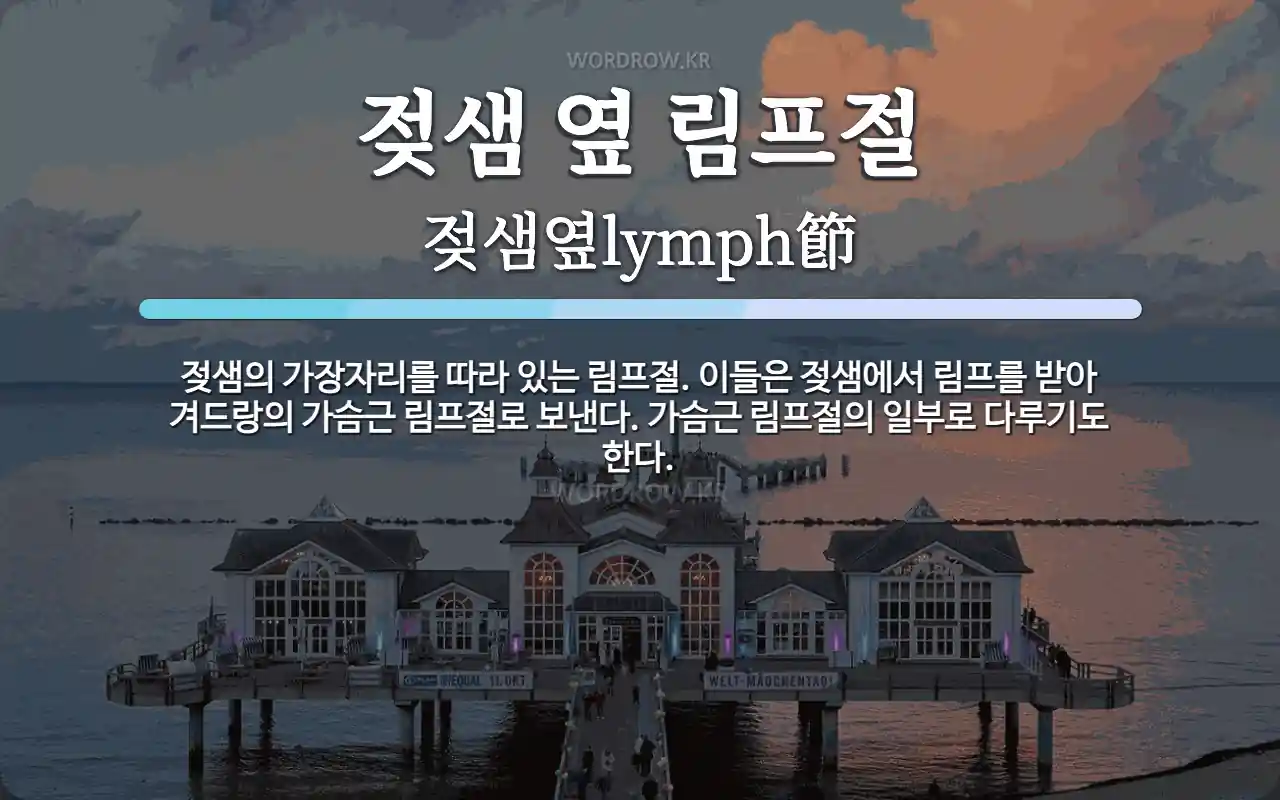 젖샘 옆 림프절 뜻 젖샘의 가장자리를 따라 있는 림프절 이들은 젖샘에서 림프를 받아 겨드랑의 가슴근 림프절로