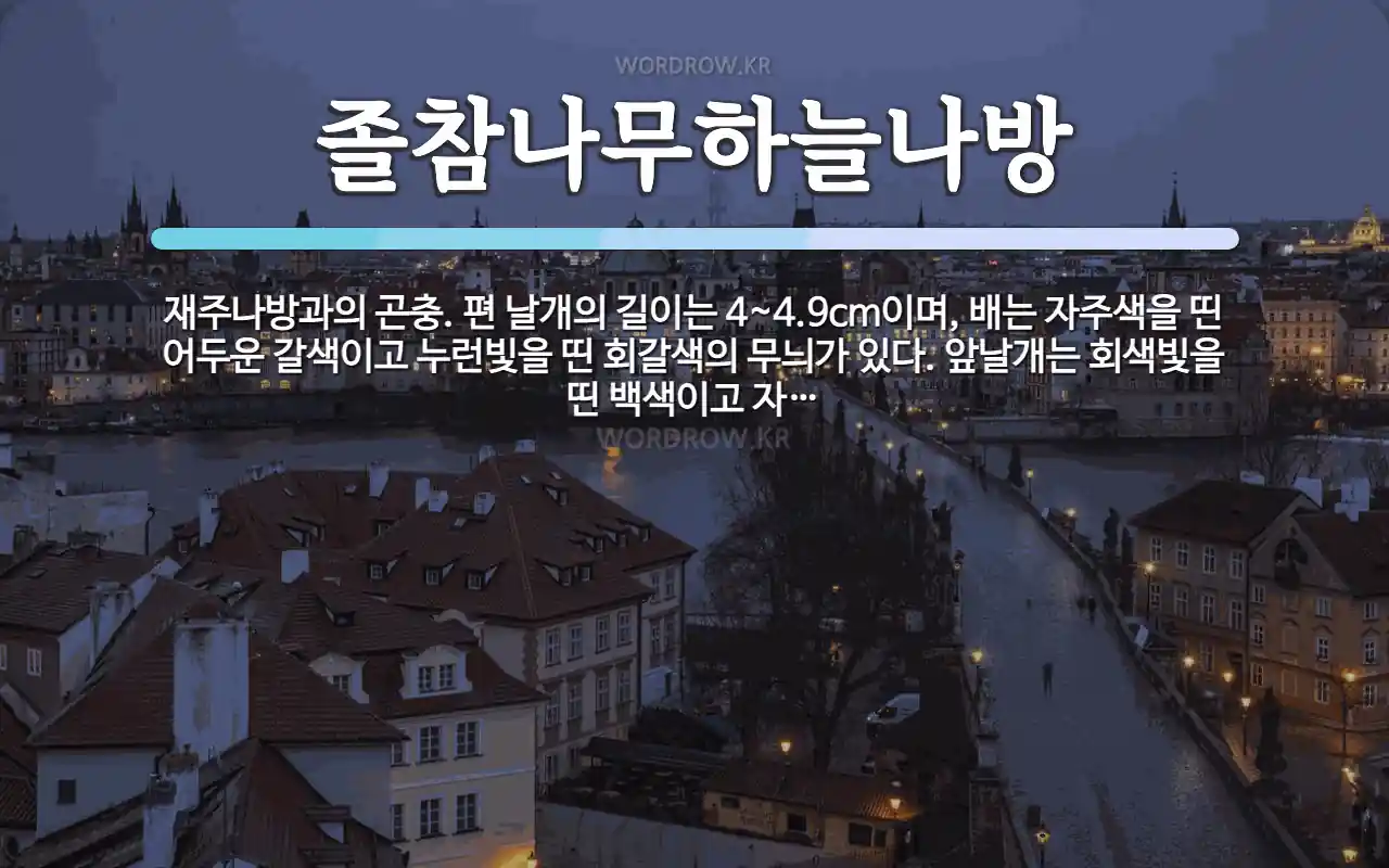졸참나무하늘나방 뜻 재주나방과의 곤충 편 날개의 길이는 4~49cm이며 배는 자주색을 띤 어두운 갈색이고