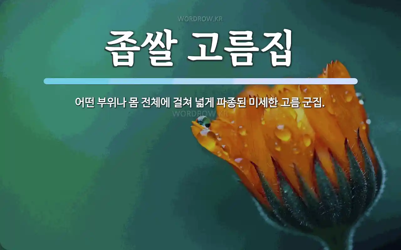 좁쌀 고름집 뜻 어떤 부위나 몸 전체에 걸쳐 넓게 파종된 미세한 고름 군집