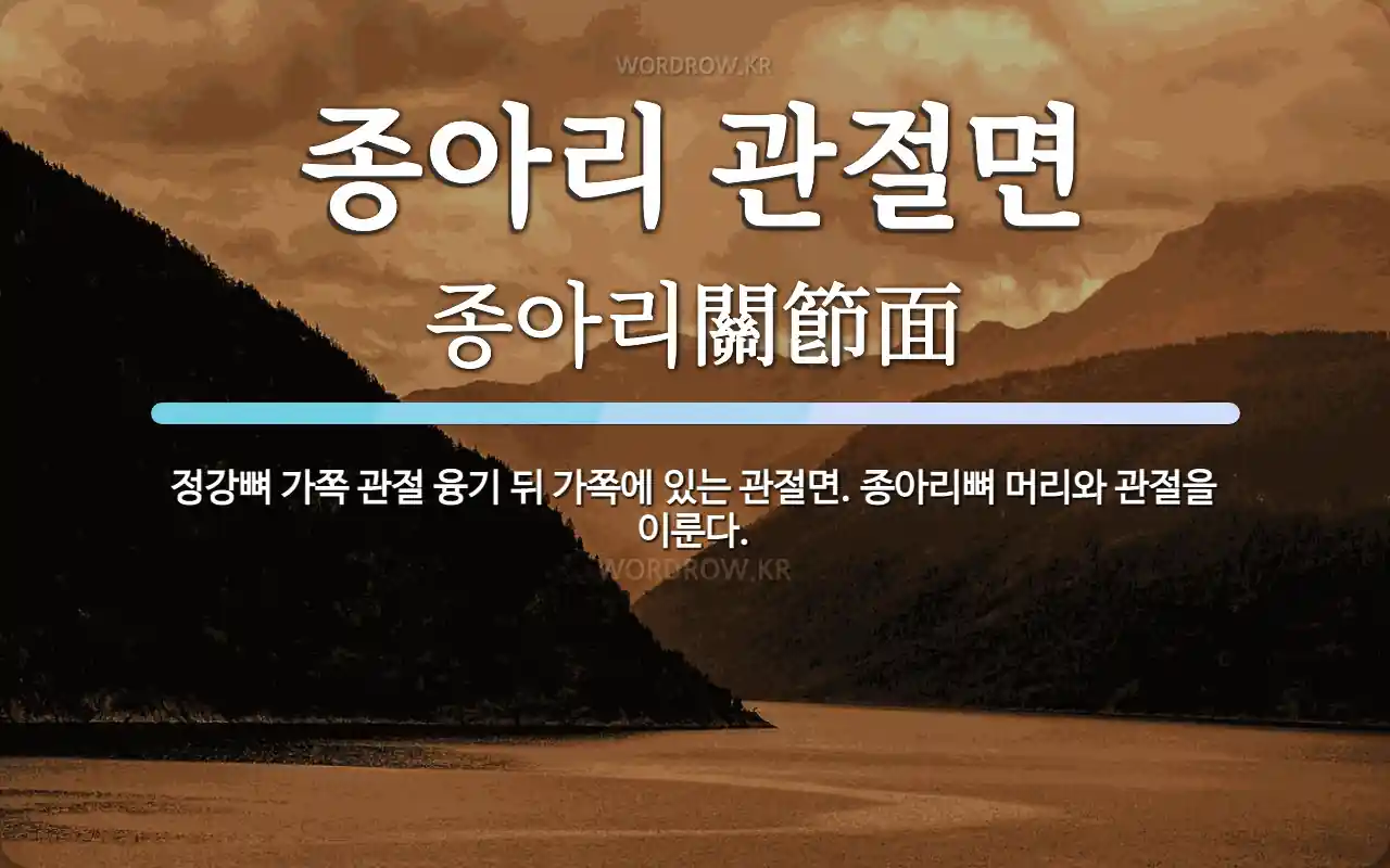 종아리 관절면 뜻 정강뼈 가쪽 관절 융기 뒤 가쪽에 있는 관절면 종아리뼈 머리와 관절을 이룬다