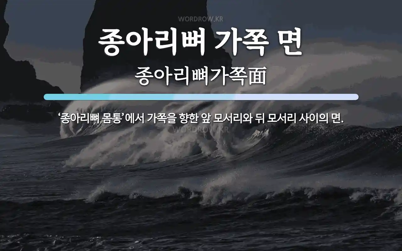 종아리뼈 가쪽 면 뜻 ‘종아리뼈 몸통에서 가쪽을 향한 앞 모서리와 뒤 모서리 사이의 면