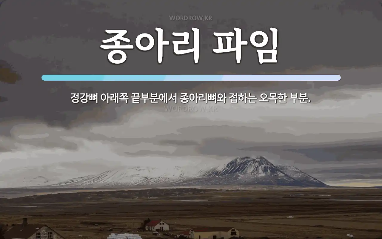 종아리 파임 뜻 정강뼈 아래쪽 끝부분에서 종아리뼈와 접하는 오목한 부분