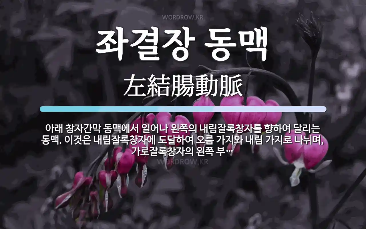 좌결장 동맥 뜻 아래 창자간막 동맥에서 일어나 왼쪽의 내림잘록창자를 향하여 달리는 동맥 이것은 내림잘록창