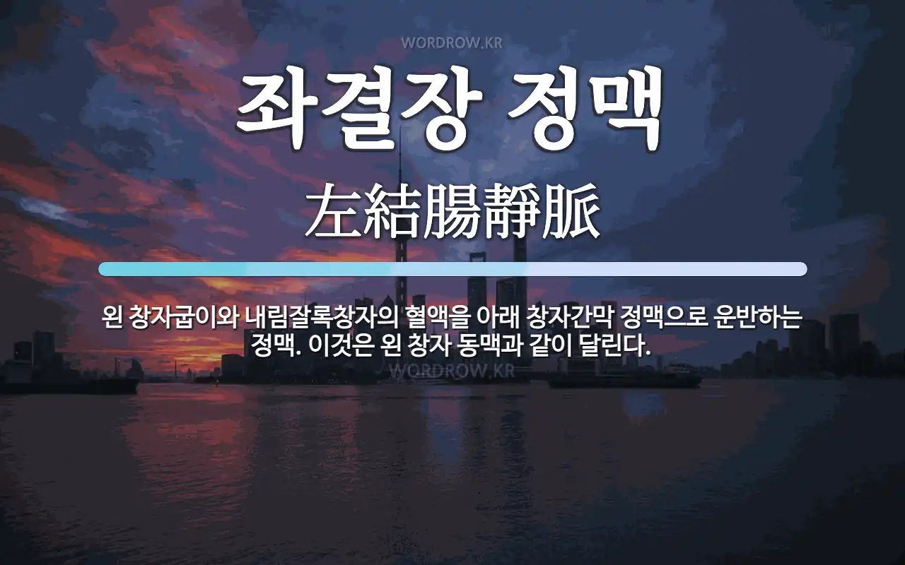 좌결장 정맥 뜻 왼 창자굽이와 내림잘록창자의 혈액을 아래 창자간막 정맥으로 운반하는 정맥 이것은 왼 창자