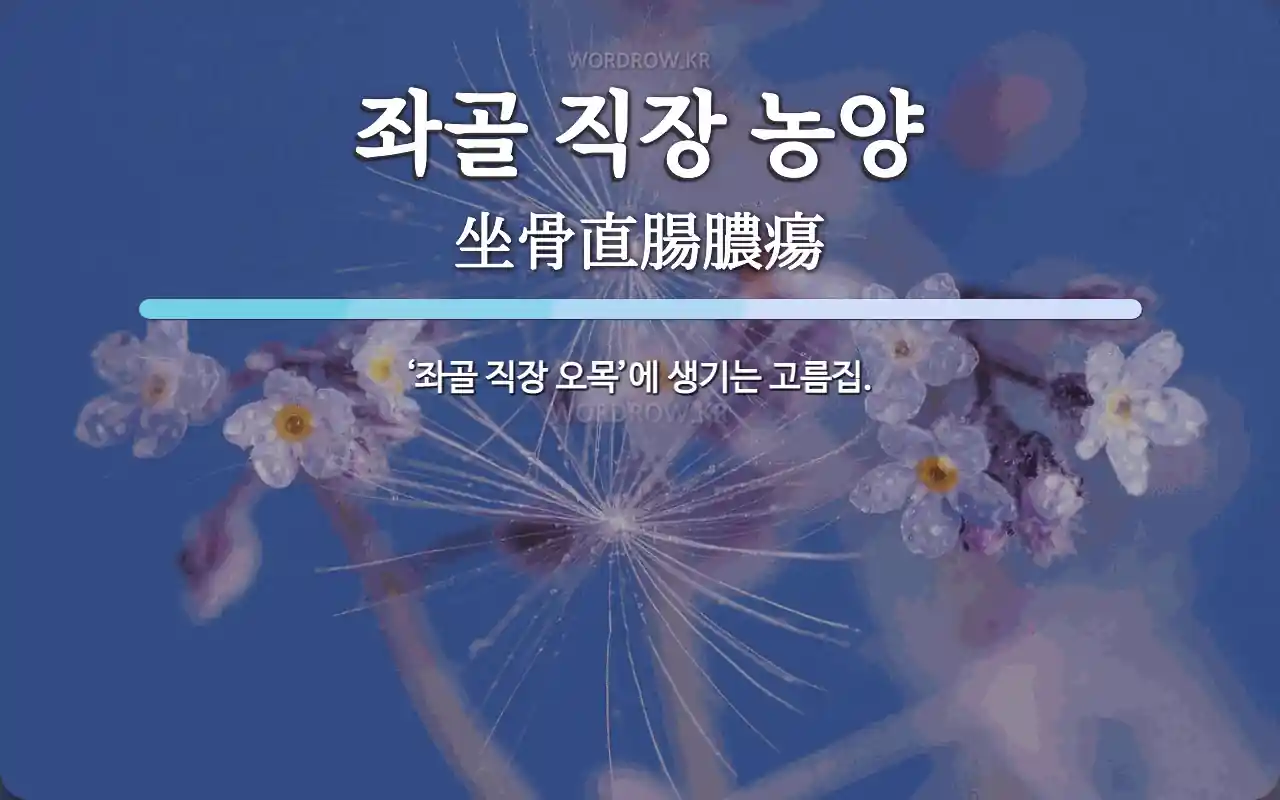 좌골 직장 농양 뜻 ‘좌골 직장 오목에 생기는 고름집