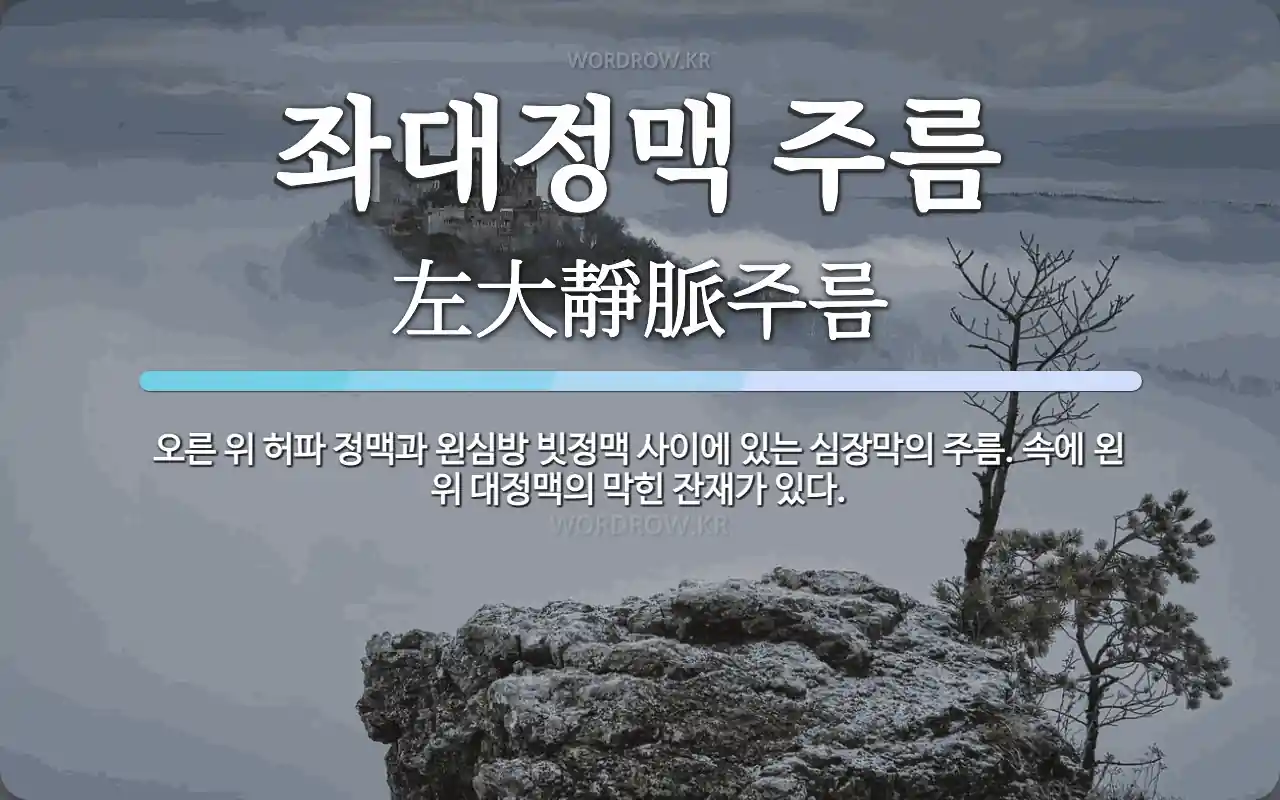 좌대정맥 주름 뜻 오른 위 허파 정맥과 왼심방 빗정맥 사이에 있는 심장막의 주름 속에 왼 위 대정맥의 막힌