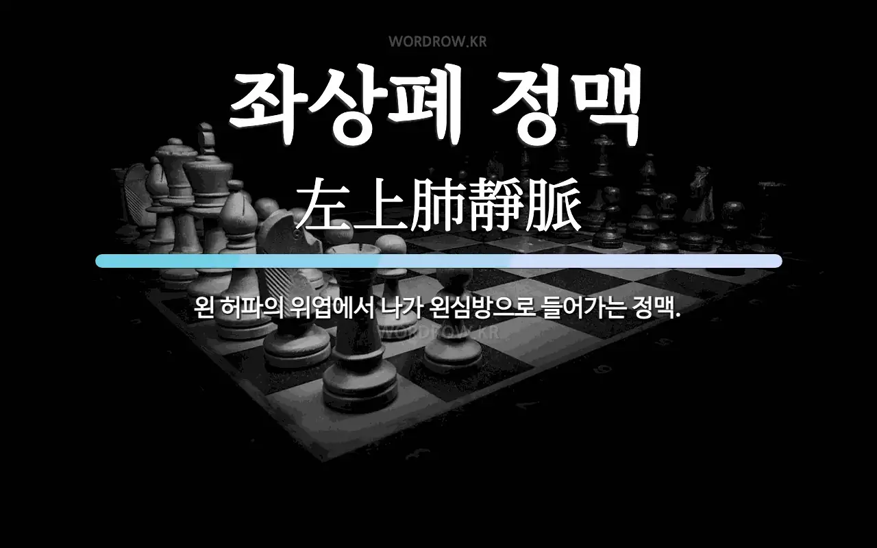 좌상폐 정맥 뜻 왼 허파의 위엽에서 나가 왼심방으로 들어가는 정맥