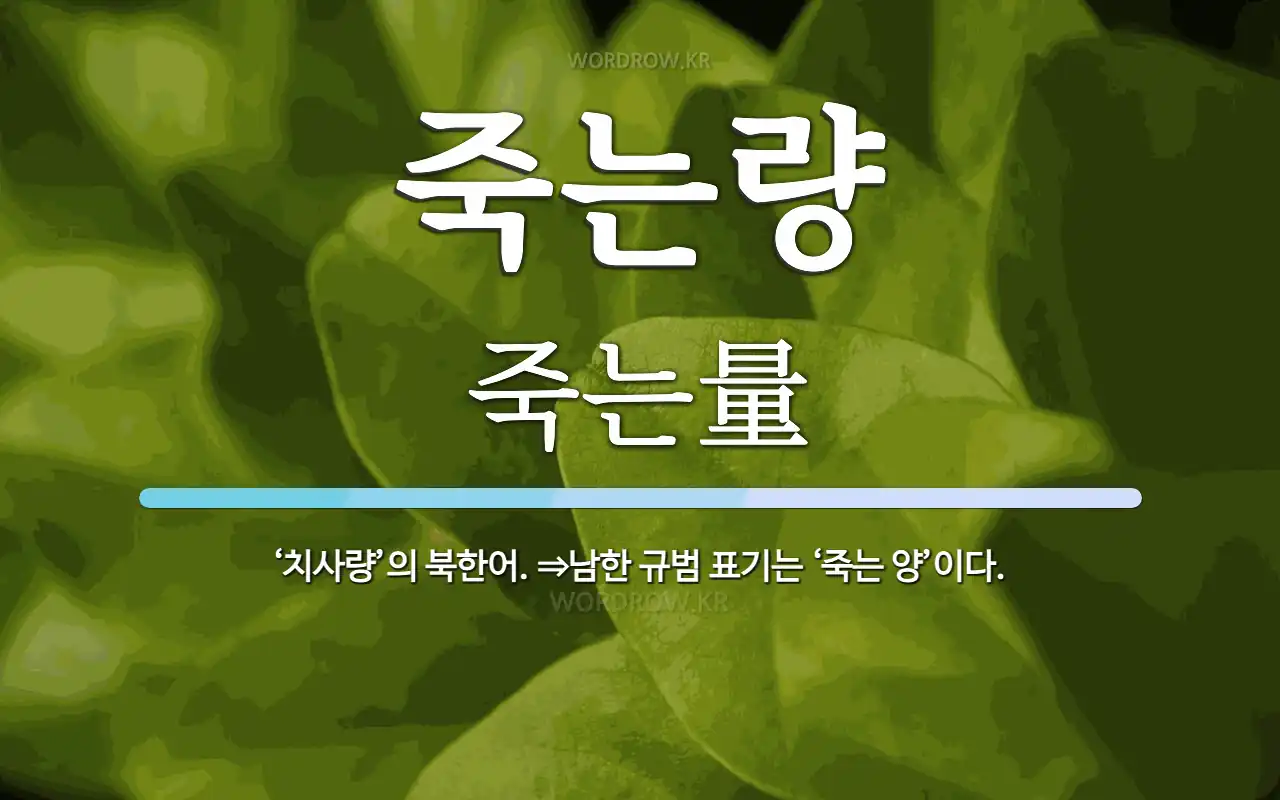 죽는량 뜻 ‘치사량의 북한어 ⇒남한 규범 표기는 ‘죽는 양이다