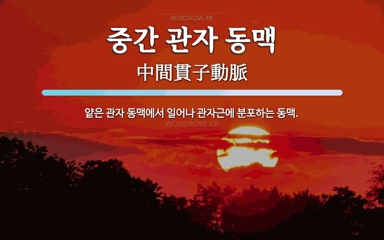 중간 관자 동맥 뜻 얕은 관자 동맥에서 일어나 관자근에 분포하는 동맥