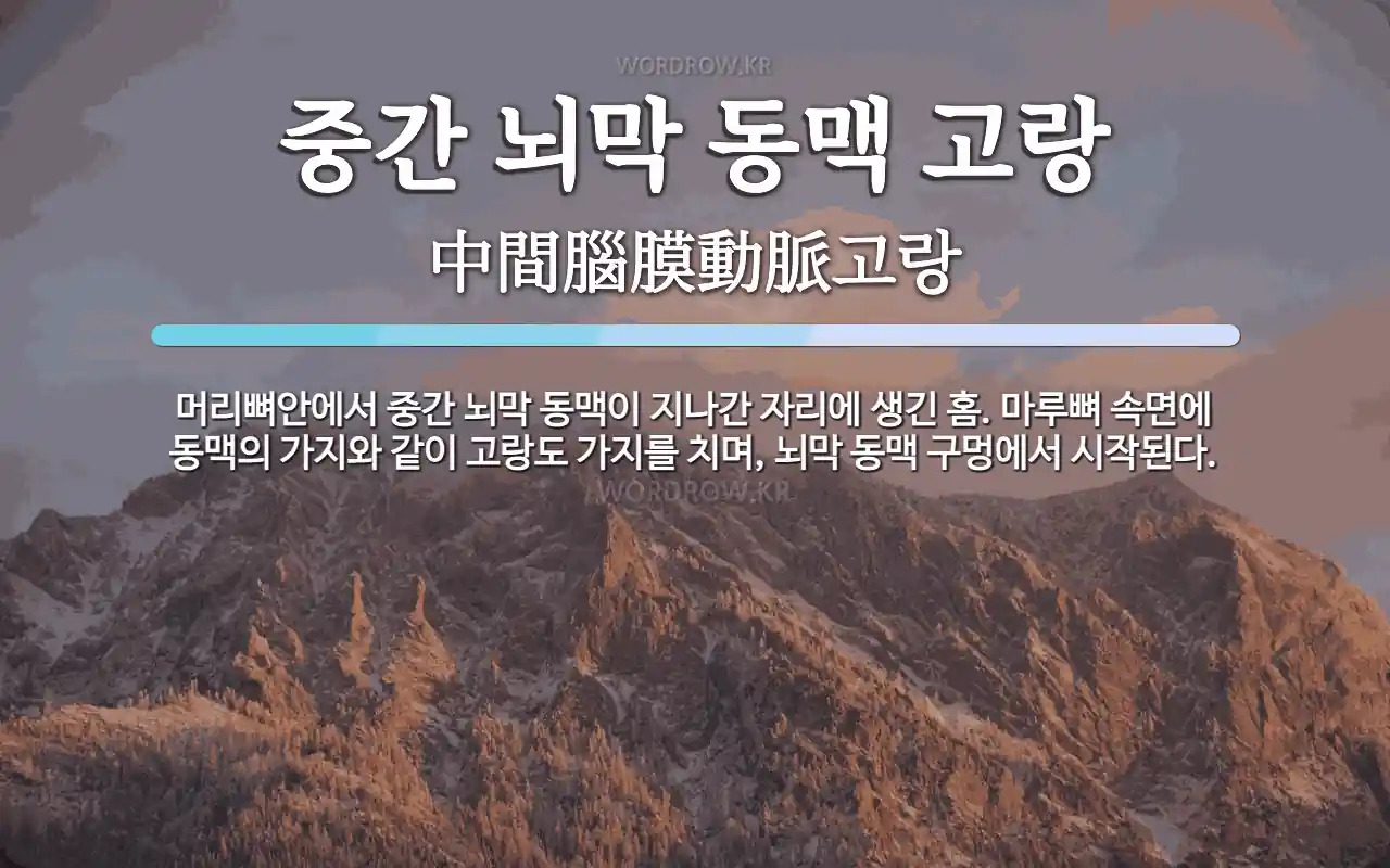 중간 뇌막 동맥 고랑 뜻 머리뼈안에서 중간 뇌막 동맥이 지나간 자리에 생긴 홈 마루뼈 속면에 동맥의 가지와 같이