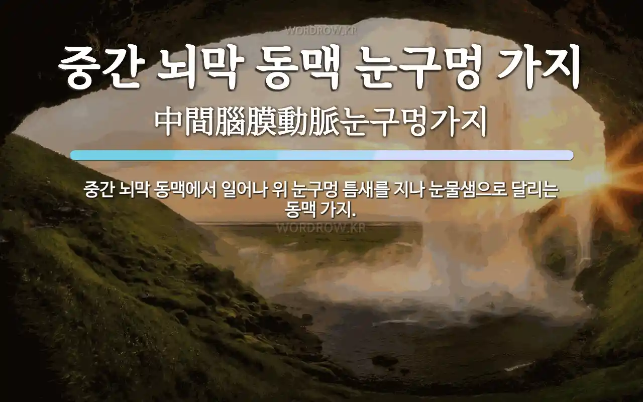 중간 뇌막 동맥 눈구멍 가지 뜻 중간 뇌막 동맥에서 일어나 위 눈구멍 틈새를 지나 눈물샘으로 달리는 동맥 가지