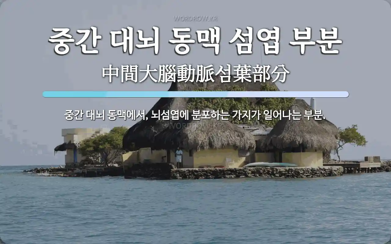 중간 대뇌 동맥 섬엽 부분 뜻 중간 대뇌 동맥에서 뇌섬엽에 분포하는 가지가 일어나는 부분