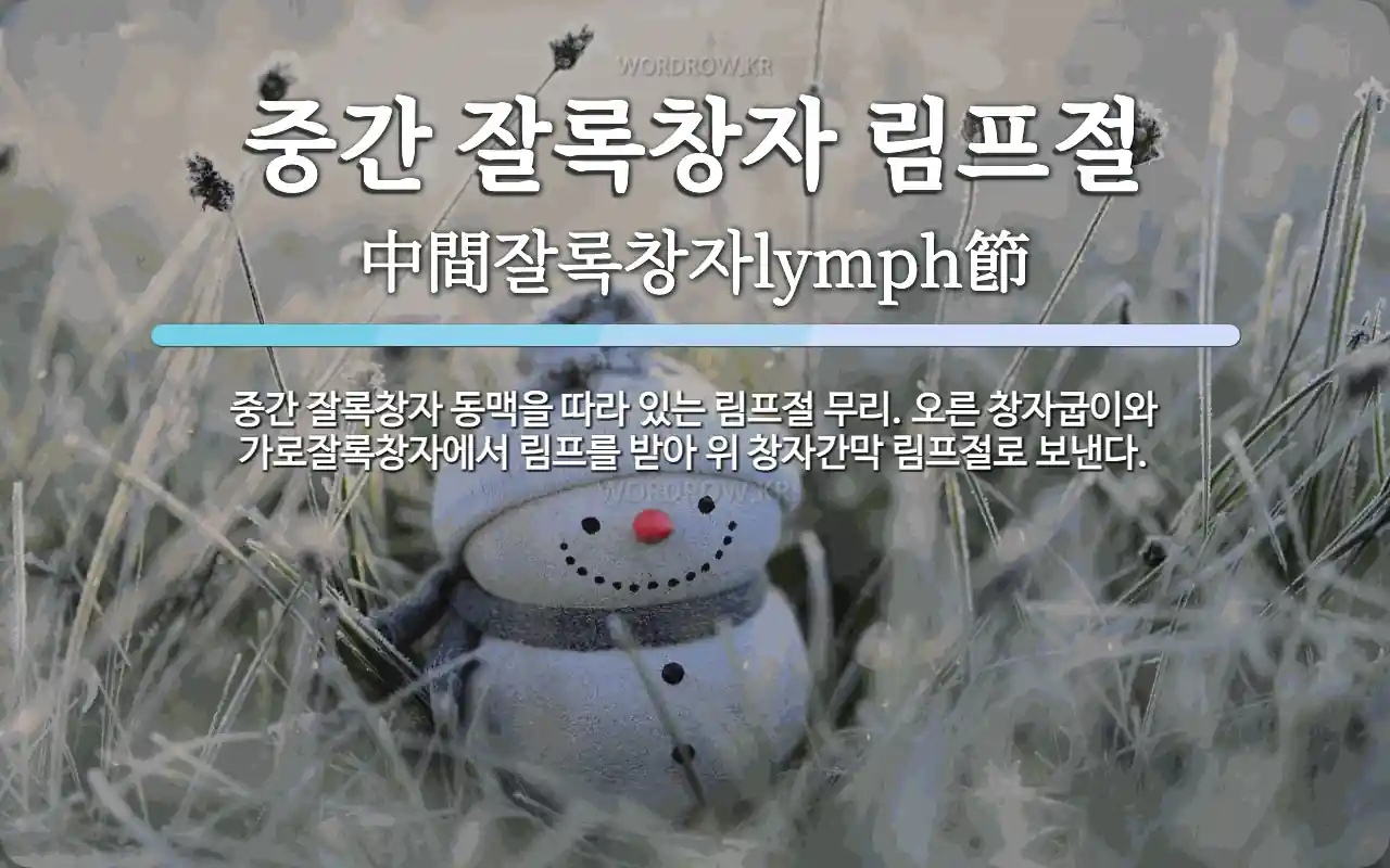 중간 잘록창자 림프절 뜻 중간 잘록창자 동맥을 따라 있는 림프절 무리 오른 창자굽이와 가로잘록창자에서 림프를 받아