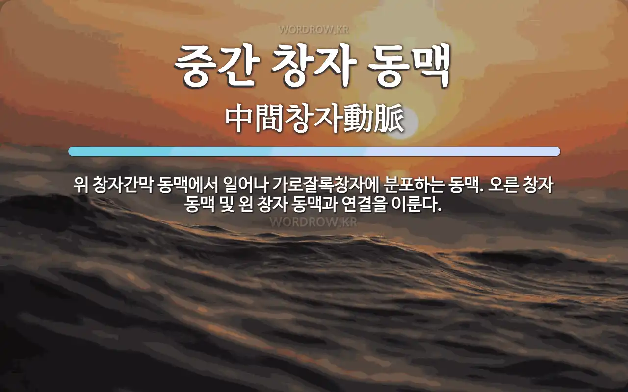 중간 창자 동맥 뜻 위 창자간막 동맥에서 일어나 가로잘록창자에 분포하는 동맥 오른 창자 동맥 및 왼 창자 동